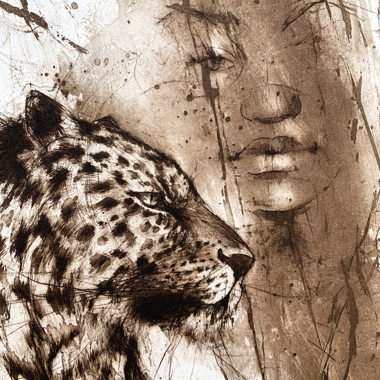 Jake Muirhead | Takoma Artery